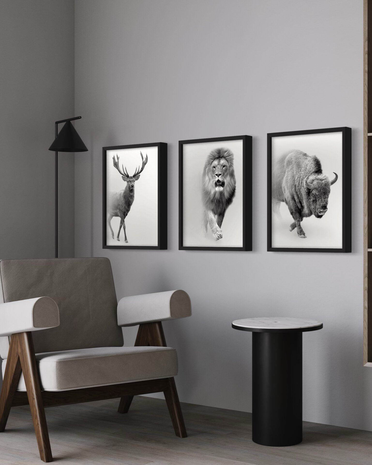 Elephant - odyssey-shop.com